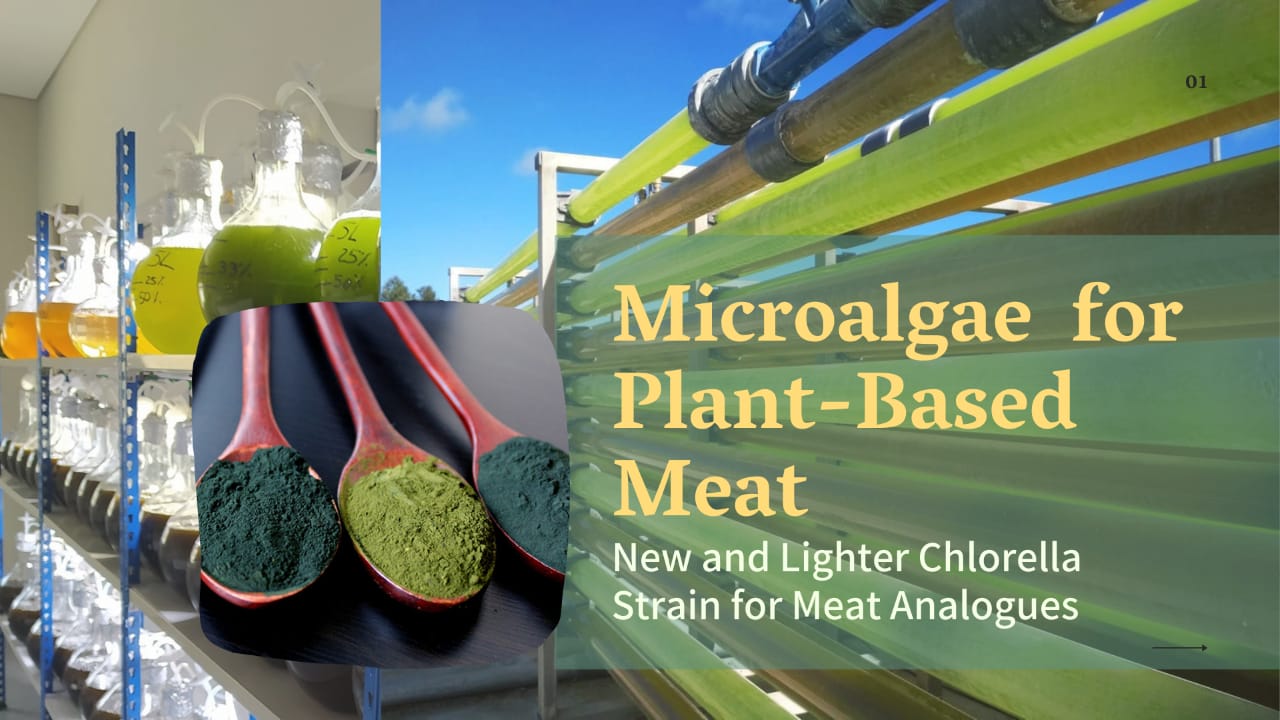 Microalgae for Plant-Based Meat - FoodTech Pathshala