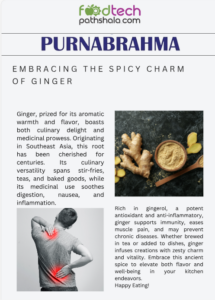 Embracing The Spicy Charm Of Ginger - FoodTech Pathshala